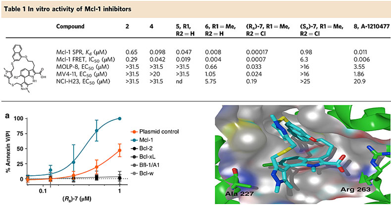 AZD5991 靶向药 - 基因医生