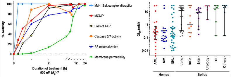 AZD5991 靶向药 - 基因医生