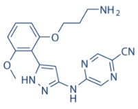 Prexasertib LY2606368 靶向药 - 癌症123