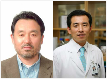 化敌为友：科学家将有害细菌改造成「抗癌战斗机」 - 癌症123